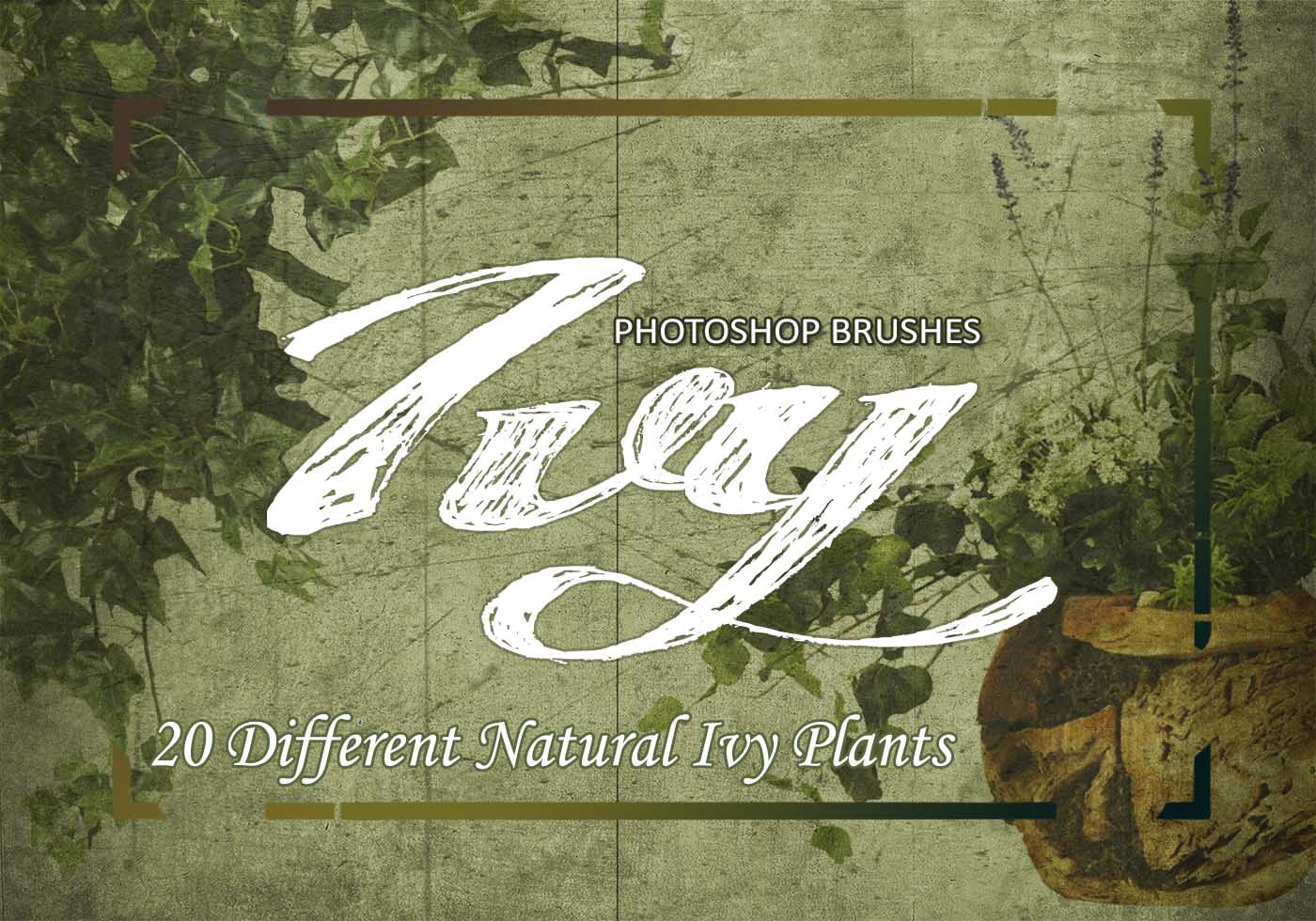 20 Ivy PS Brushes abr vol.13 - Free Photoshop Brushes at Brusheezy!