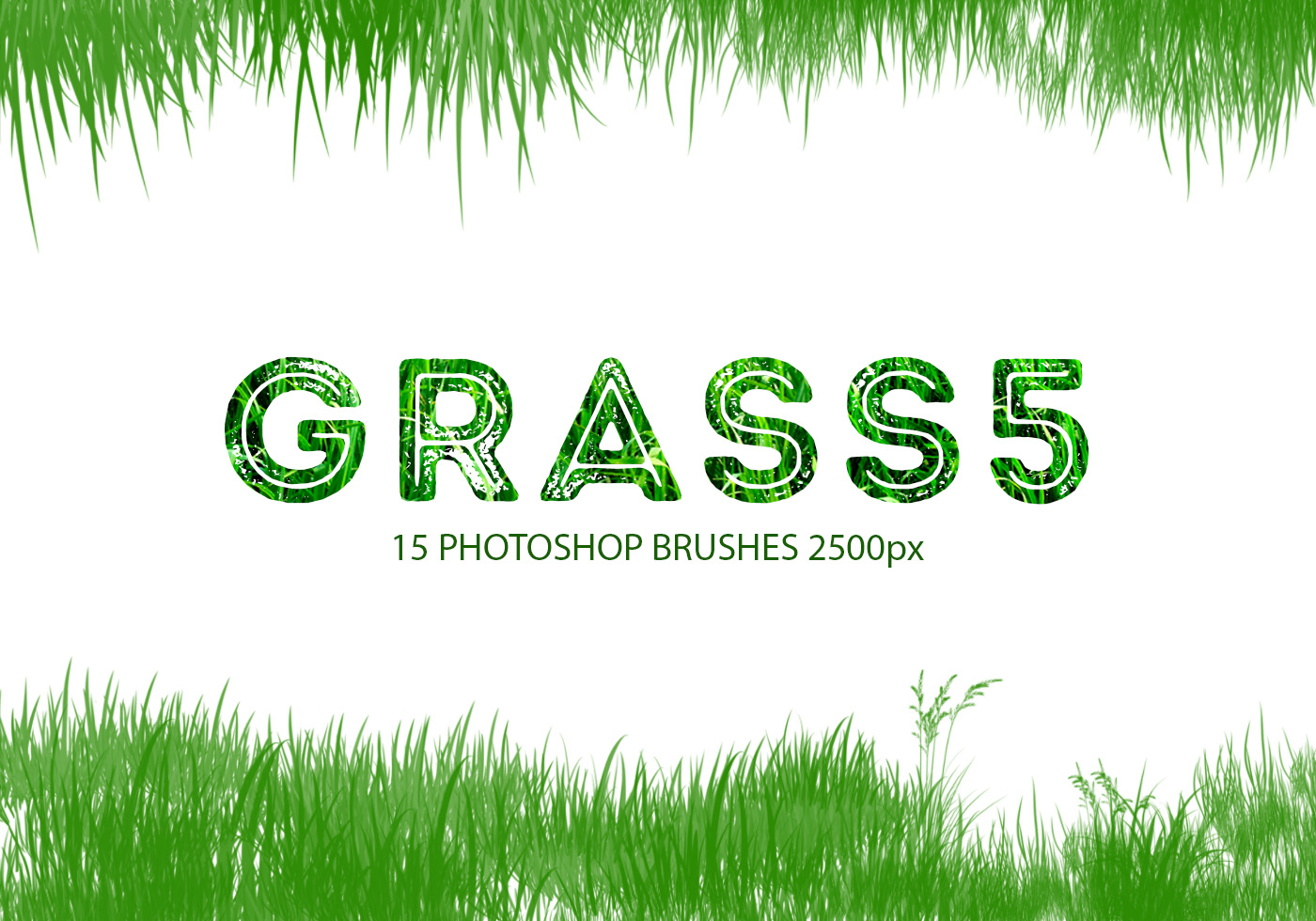 Grass Photoshop Brushes 5 - Free Photoshop Brushes at Brusheezy!