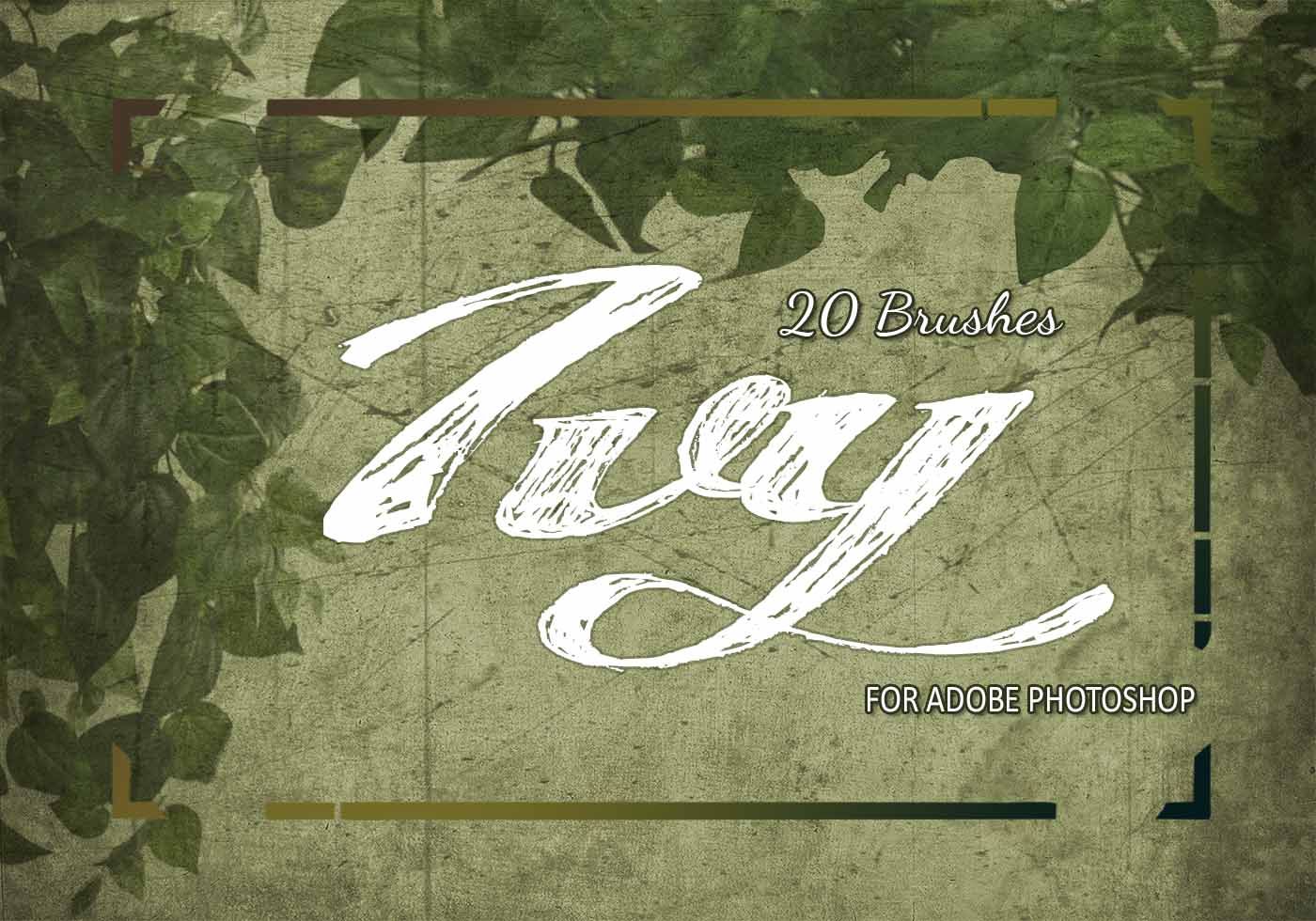 20 Ivy PS Brushes abr vol.12 - Free Photoshop Brushes at Brusheezy!
