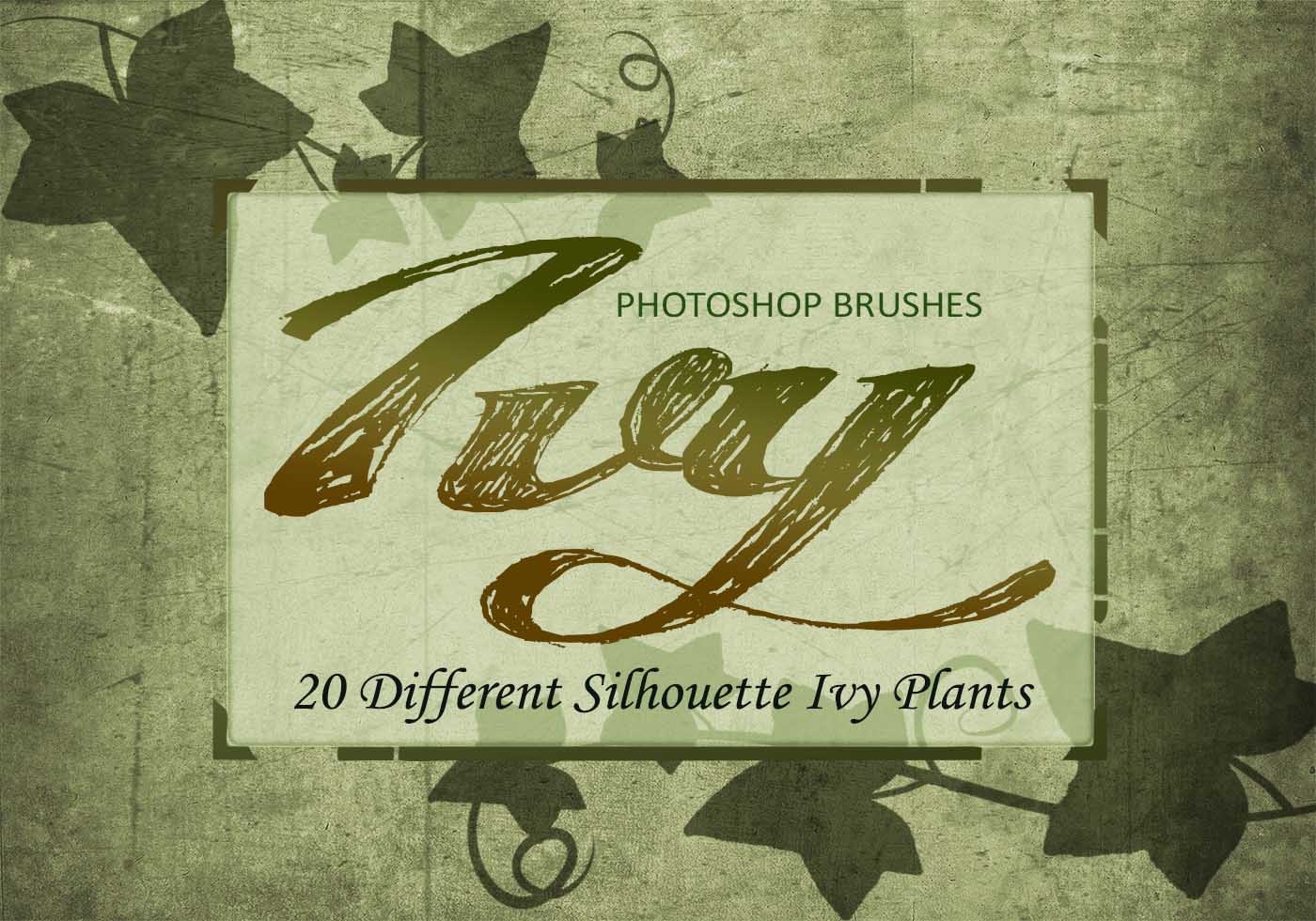 20 Ivy Silhouette PS Brushes abr vol.14 - Free Photoshop Brushes at ...