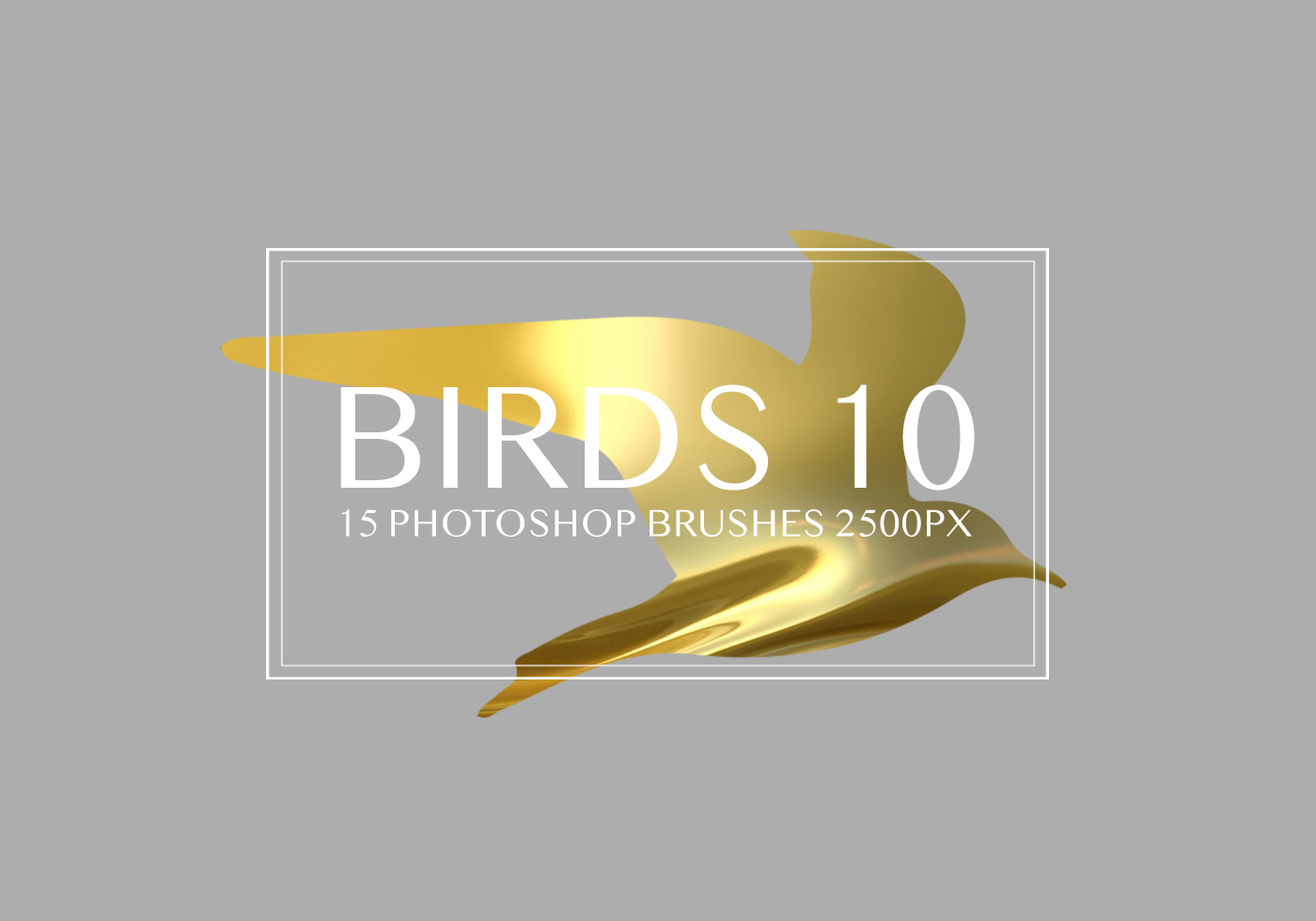 Birds Photoshop Brushes 10 - Free Photoshop Brushes at Brusheezy!