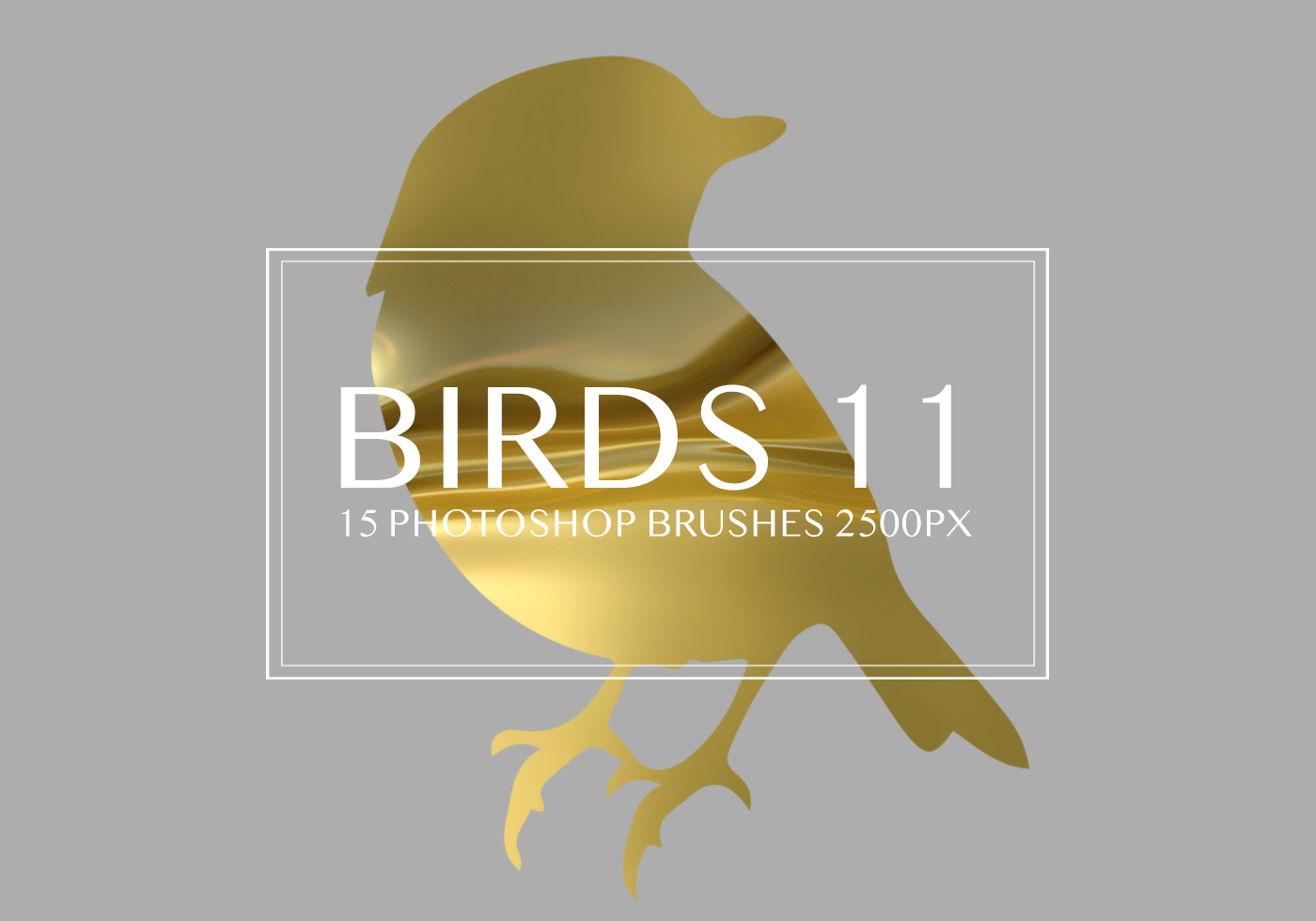 Birds Photoshop Brushes 11 - Free Photoshop Brushes at Brusheezy!