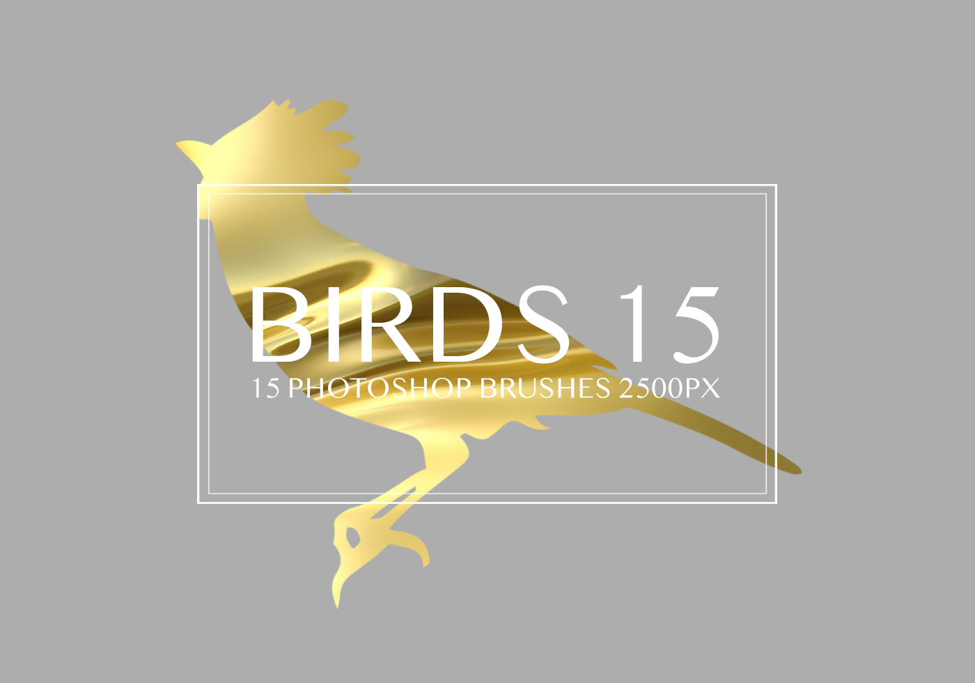 Birds Photoshop Brushes 15 - Free Photoshop Brushes at Brusheezy!