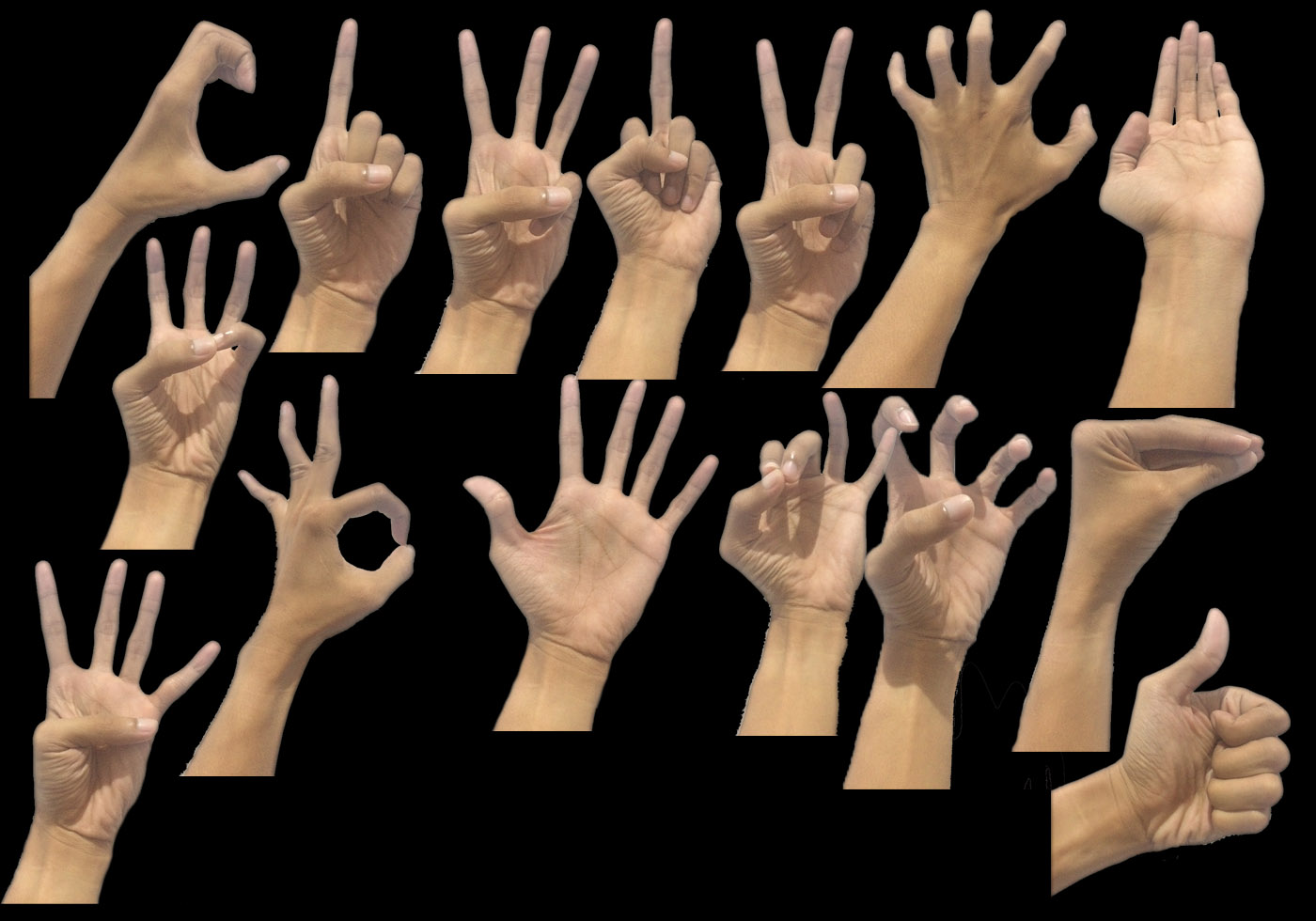 Hand Brush Collection - Free Photoshop Brushes at Brusheezy!