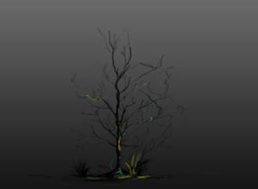 Complete Tree Brush Pack - Free Photoshop Brushes at Brusheezy!