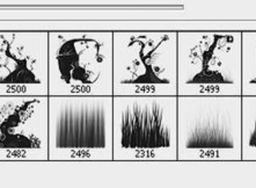 Tree Plan Free Brushes - (867 Free Downloads)