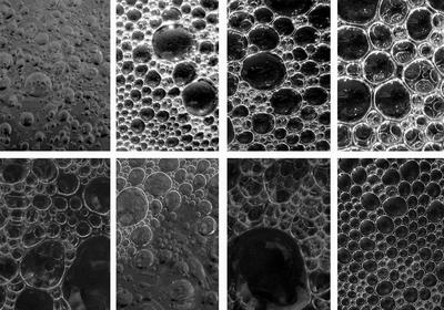 Free Dust Photoshop Brushes - Free Photoshop Brushes at Brusheezy!