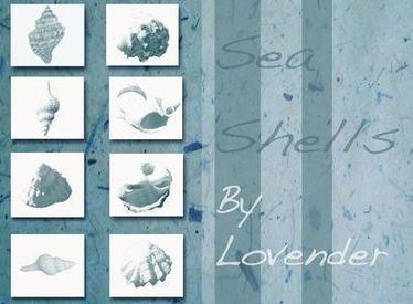 Seashell Free Brushes - (256 Free Downloads)