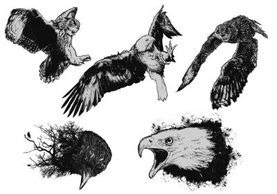 Birds Free Brushes - (1,735 Free Downloads)