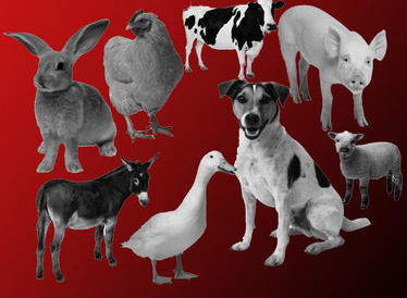 Grátis Maltratoanimallogo Pincéis - (377 Downloads Gratis)