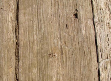 Seamless Wood Patterns | Free Photoshop Pattern at Brusheezy!