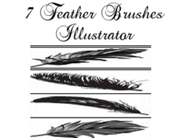 Photoshop Feather Free Brushes - (2,231 Free Downloads)