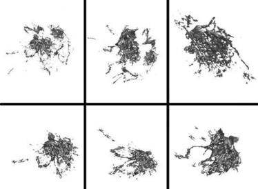 Blood Splatter Brushes - Free Photoshop Brushes at Brusheezy!