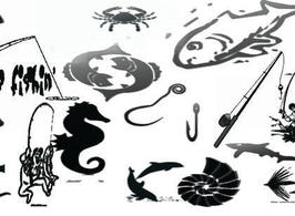 fishing brush set - Free Photoshop Brushes at Brusheezy!