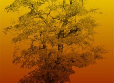 Trees Brushes | Free Photoshop Brushes at Brusheezy!