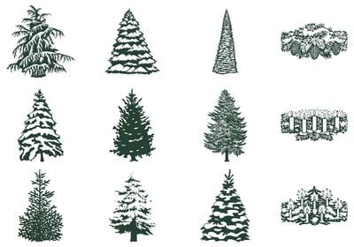 Complete Tree Brush Pack - Free Photoshop Brushes at Brusheezy!