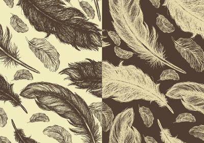 Feather Brushes - Free Photoshop Brushes at Brusheezy!