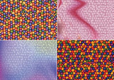 Odd Texture - Free Photoshop Brushes at Brusheezy!