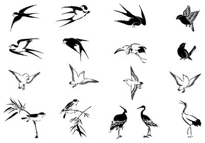 Birds of a Feather - Free Photoshop Brushes at Brusheezy!