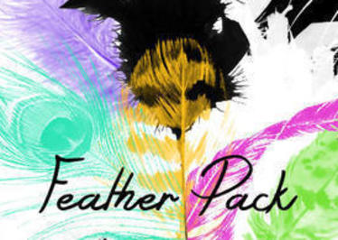 Feather Brushes - Free Photoshop Brushes at Brusheezy!
