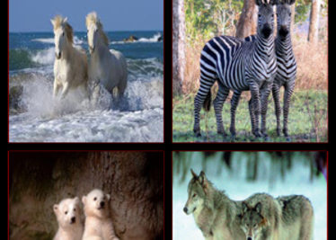 Gratis Collagedepalabrasenespañolpalabras Pinceles - (101 Descargas Gratis)