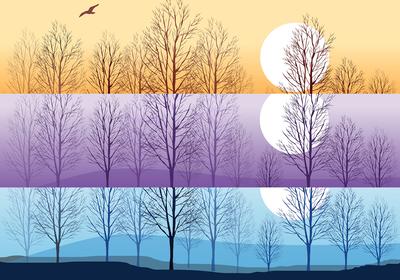 9 High Resolution Tree Brushes - Free Photoshop Brushes at Brusheezy!