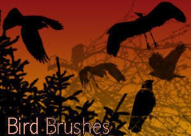 30 Flying Birds - Free Photoshop Brushes at Brusheezy!