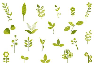Leaf Vector - (2,092 Free Downloads)