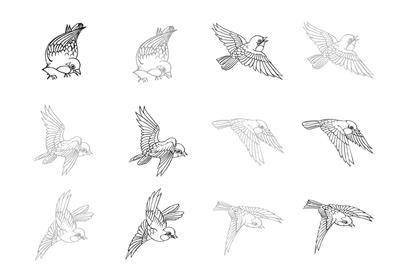 Bird Photoshop Brushes - Free Photoshop Brushes at Brusheezy!