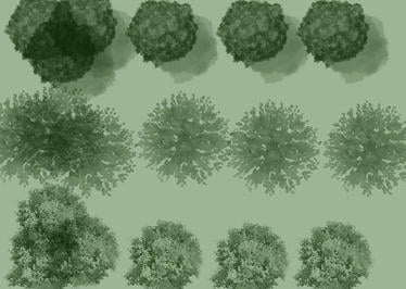 Tree Elevation Free Brushes - (438 Free Downloads)