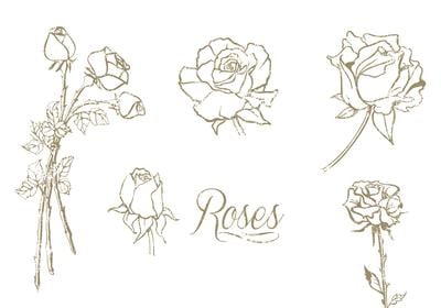 Rose Brushes | Free Photoshop Brushes at Brusheezy!