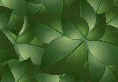 Free Leaves Textures - Free Photoshop Brushes at Brusheezy!