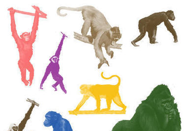 Animal Brushes - Free Photoshop Brushes at Brusheezy!