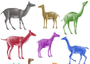 เสื้อcamelสีเขียว Free Brushes - (101 Free Downloads)