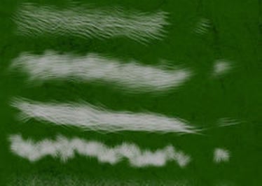 Scales Brushes | Free Photoshop Brushes at Brusheezy!