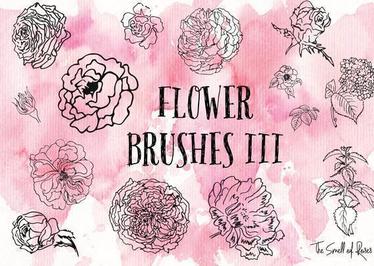 Rose Brushes | Free Photoshop Brushes at Brusheezy!